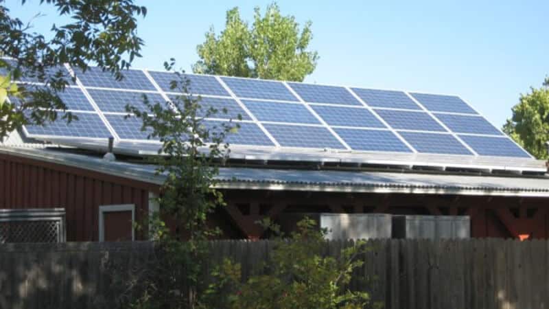 Cameron Park Zoo | Waco, Texas | NATiVE Solar PV Installation