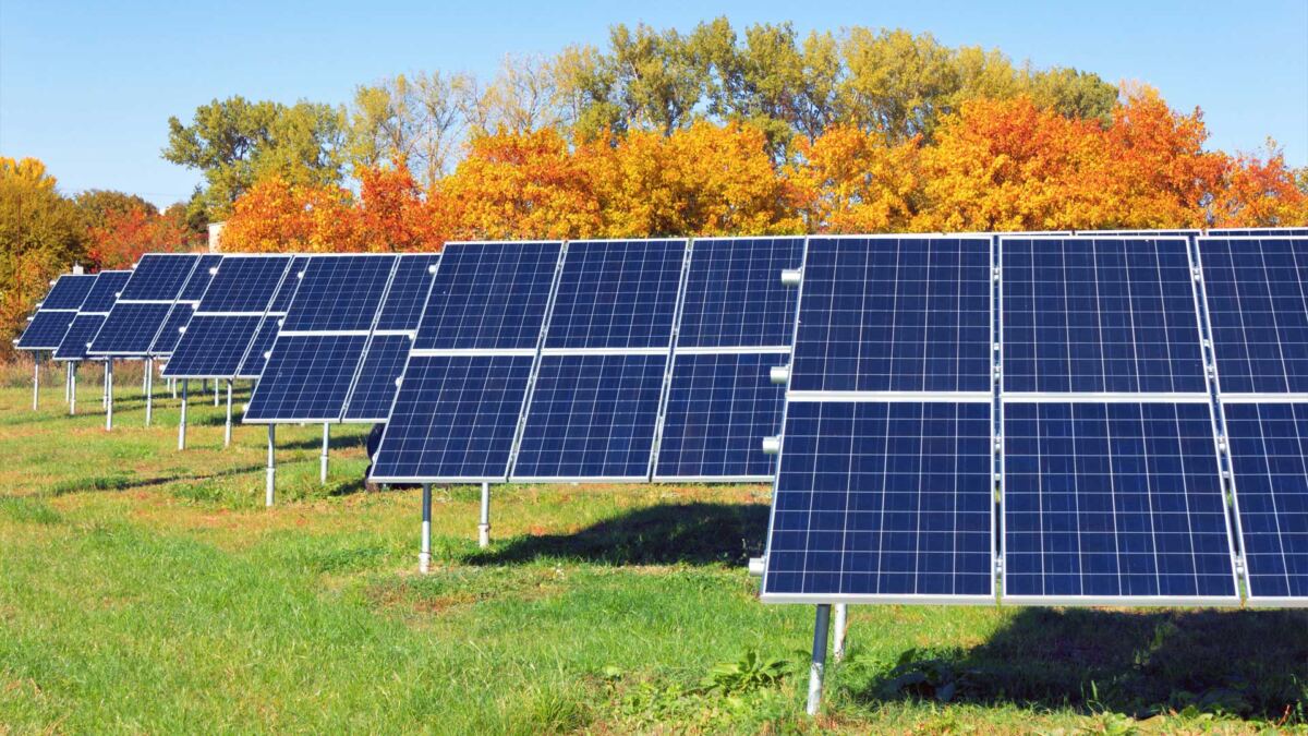 Solar Panels in the Fall Season | NATiVE Solar