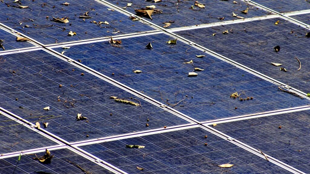 Preparing Your Solar System for Fall | Maintenance Tips